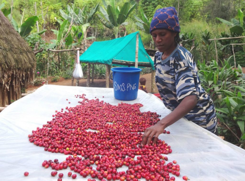 Fairtrade Is Making It Easier To Invest In Supply Chains | Fairtrade ...