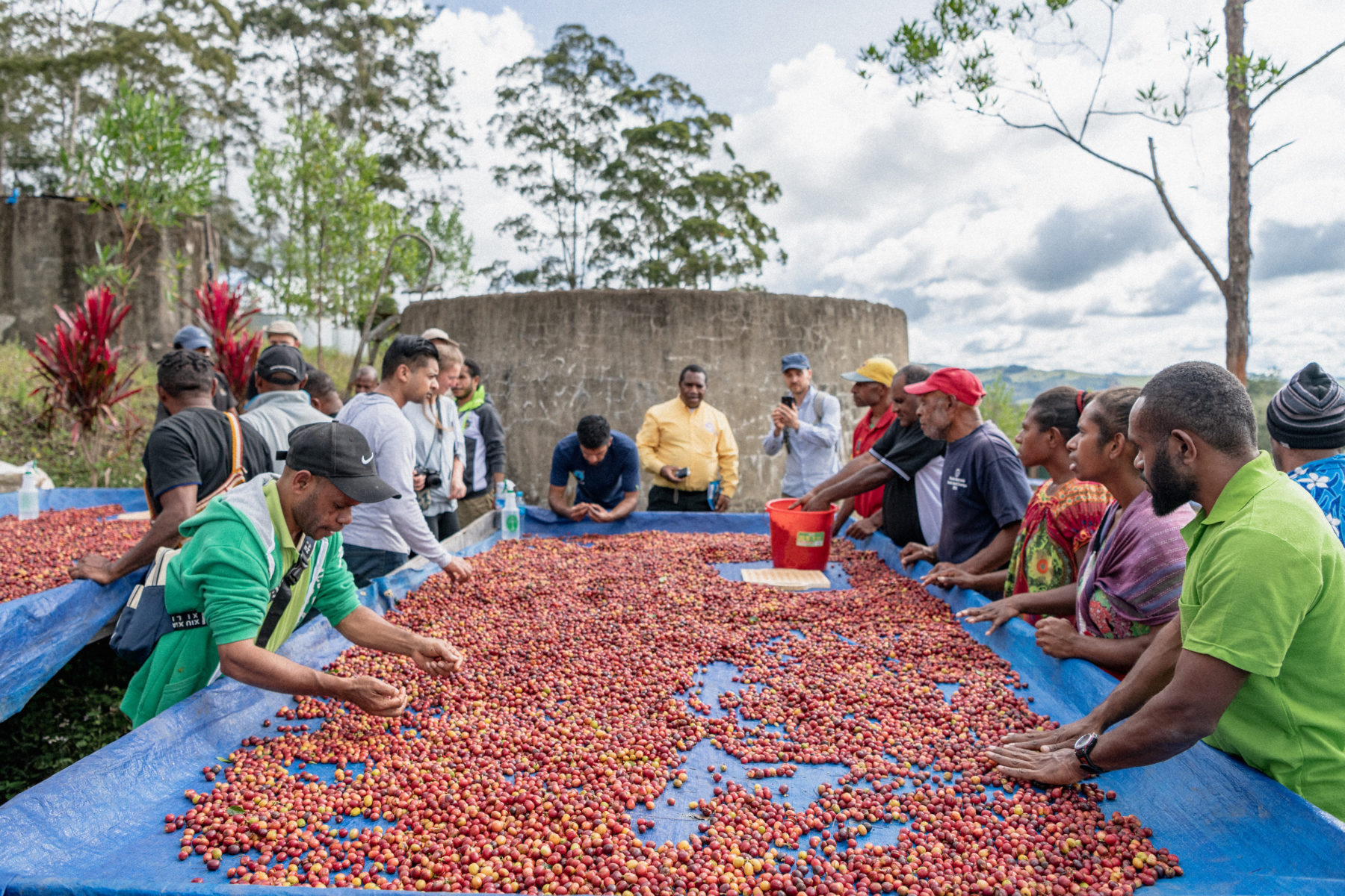 Coffee quality improvement | Fairtrade Australia New Zealand